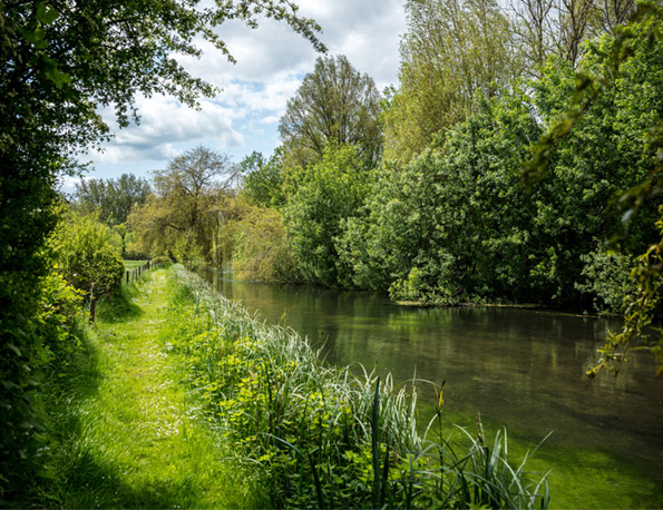 Home - Town and Manor of Hungerford